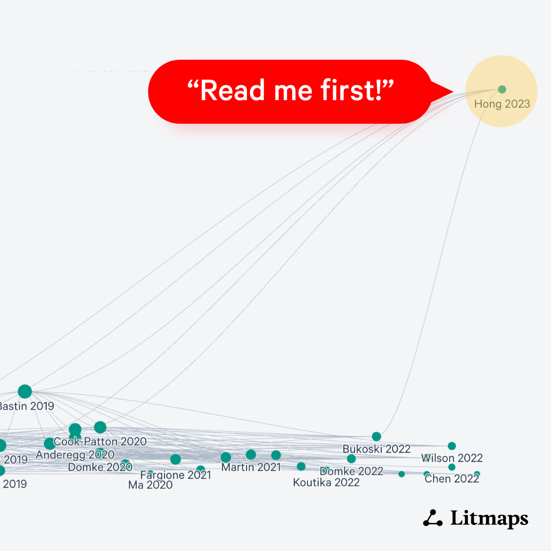 Litmaps for Researchers